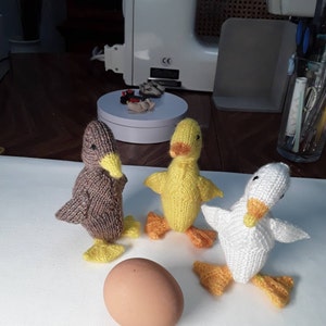 KNITTING PATTERN NEW Lucky Duckling - Etsy
