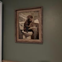 Boxer, Reading Newspaper, Toilet, Bathroom, Dog, Cute, Funny, Wall ...