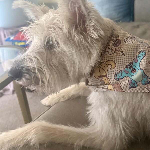 NEW! Lilo & Stitch ~ Dog Bandana ~ Disney Dog Bandana ~ Stitch Dog ...