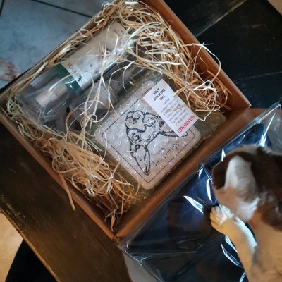 Premium Cat House is Made From Recyclable Cardboard Cubes With a Scratch Panel and Punch of ...