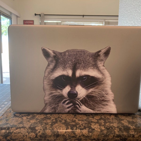 Angry Raccoon Window Sticker , 3D Sticker, Funny Sticker, Raccon ...
