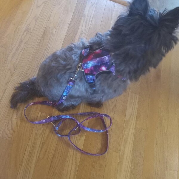 DOG HARNESS | Candy Sky Butterfly - Pink Butterflies | Neck Adjustable ...