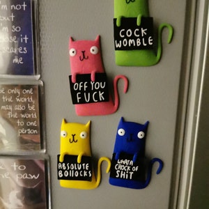 Absolute Bollocks Fridge Magnet Sweary Rainbow Cats Offensive Gift ...