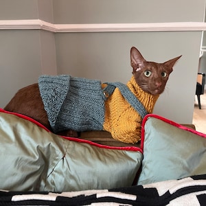 Yellow Cat Hat Hand Knit Sphynx Cat Accessories Pet Winter - Etsy