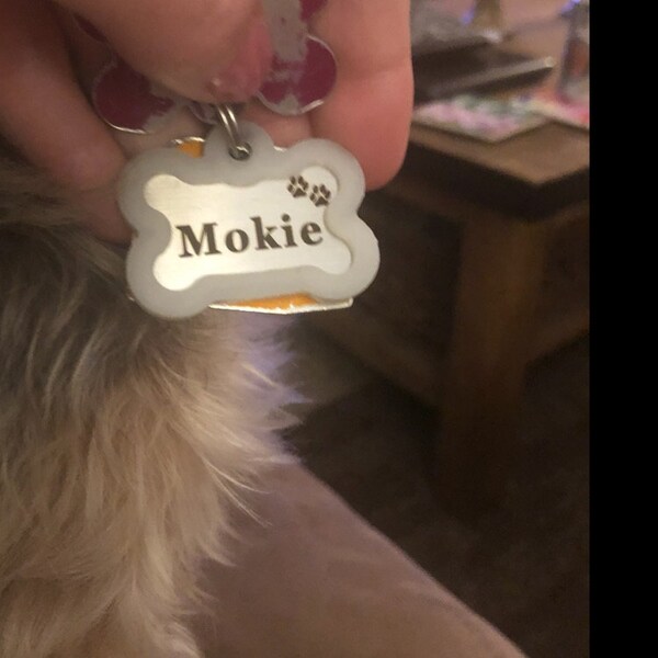 Double Sided Laser Etched Stainless Steel Pet ID Tag for Dog & Cat Tag ...