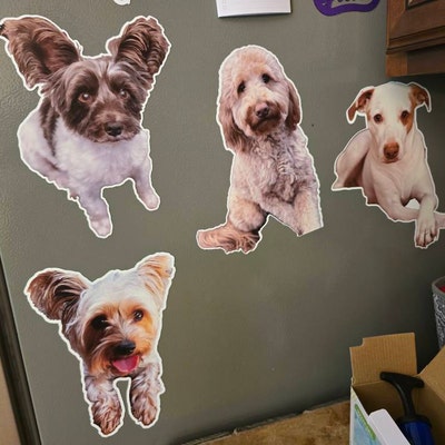 F Cancer Decal Sticker, Vinyl Car Decal Sticker - Etsy