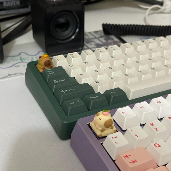 Capybara Boy Keycap - Artisan Keycap for Cherry MX Keycap Mechanical ...