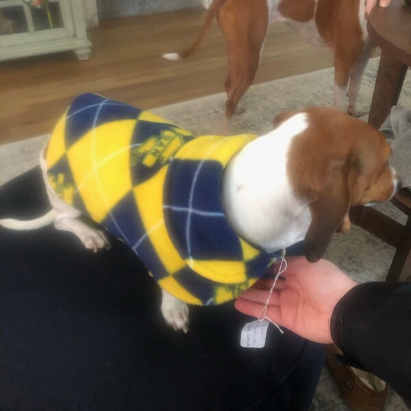 University of Michigan Dog Coat - Etsy