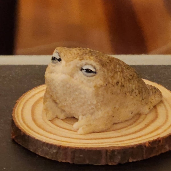 Baby Desert Rain Frog Figurine... Angry Squeaker Frog - Etsy