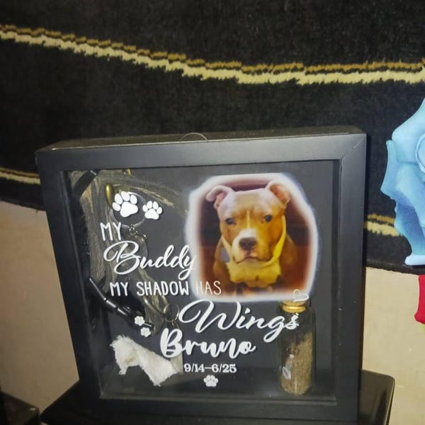 Personalized Memorial Pet Shadow Box With Pet Portrait Photo, Pet ...