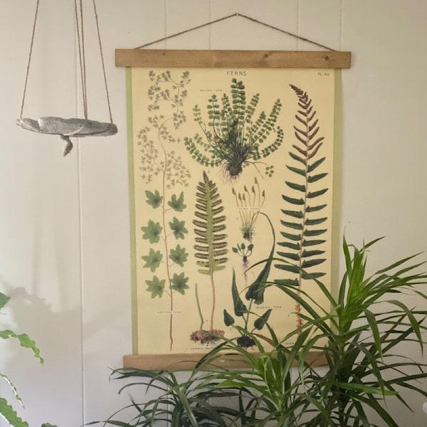 Ferns Print | Ferns Poster | Ferns Wall Art | Botanical Print Vintage ...