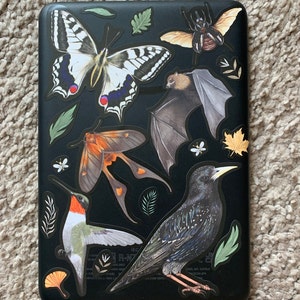 The Cornish Oss Fine Art Print Size A5 A4 A3 Illustration Wall Art Folk ...