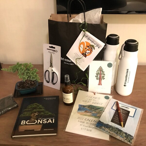 Reed Diffuser - Choose Your Scent - Etsy