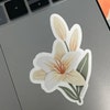 White Lily Sticker | Die-cut Water Bottle Sticker | Lily Flower Sticker ...