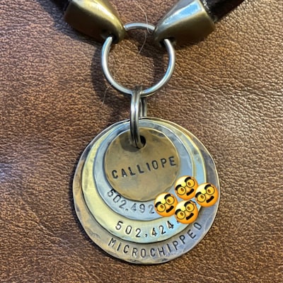 Custom Dog Tag Pet Tag Custom ID Tag Bronze Dog Tag Large Dog Tag XL ...