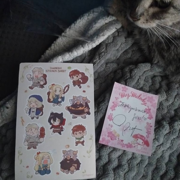 Dungeon Meshi Sticker Sheet: Matte Vinyl Dunmeshi (4x6) - Etsy