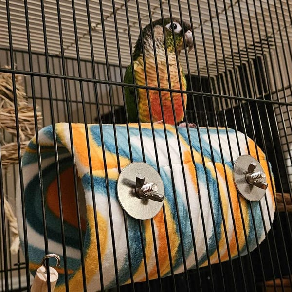 Wooden Spool Bird Toy Part Making DIY Parrot Toy Bird Cage Accessory ...