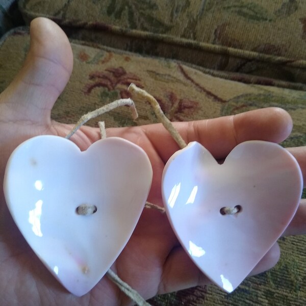 Bahamian Queen Conch Shell I Pink Conch Shell SLIT BACK I Large ...