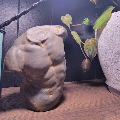 Gaddi Torso, Plaster Sculpture, Ancient Greek Statue - Etsy