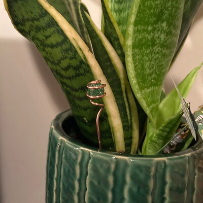 Electro Culture Rods for Plants Copper Electroculture Garden - Etsy