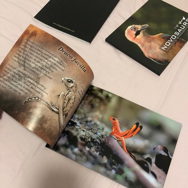 Draco Minimus Book - Etsy