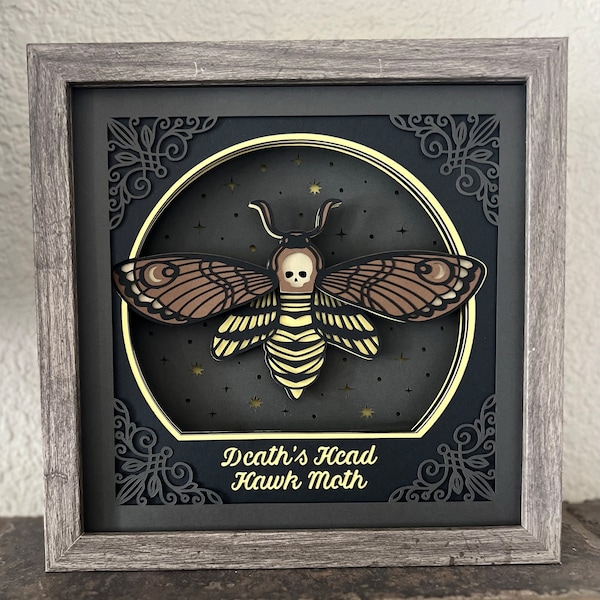 3D Death's Head Hawk Moth Shadow Box, Death Head Moth 3D SVG, Butterfly ...