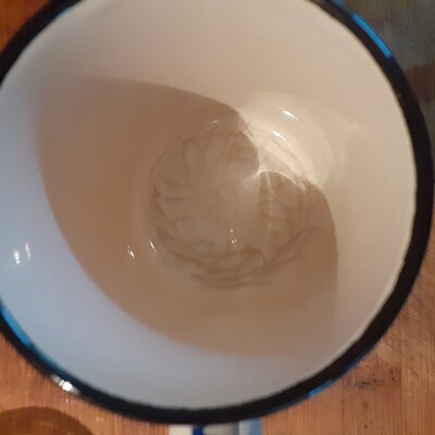 Robert Ferber February 12 Month of Flowers Botanical Lithograph Print ...