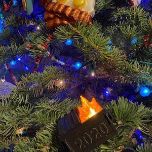 2020 Dumpster Fire Lit Ornament, 3D Printed With LED Light - Etsy