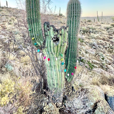 Radiant Rainbow Felt Pom Bunting Colorful Felt Ball Garland Tiered Tray ...