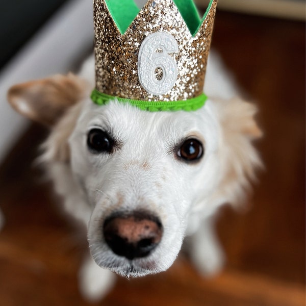 Dog Birthday Crown | Pet Birthday Crown | Dog Crown | Pet Crown Dog ...