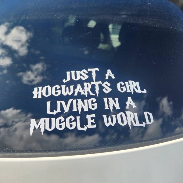 Your Local Noise Complaint Bumper Sticker- Car Decal- Laptop Sticker ...