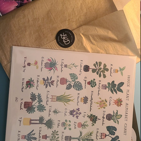 Cactus & Succulent Alphabet Chart Art Print - Etsy