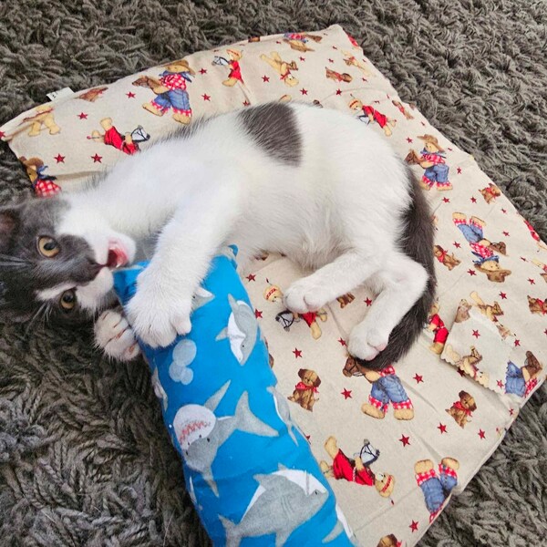 KITTY KICKERS! 14” Long X 3” Wide. Made With Fresh CATNIP by ...