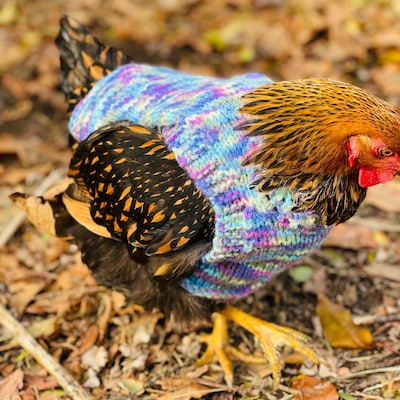 Knit Chicken Sweaters medium Weight Hen Clothing Poultry Accessories ...