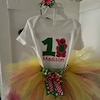 Barney Tutu Set, Barney Tutu, Barney Birthday Outfit, Barney Birthday ...