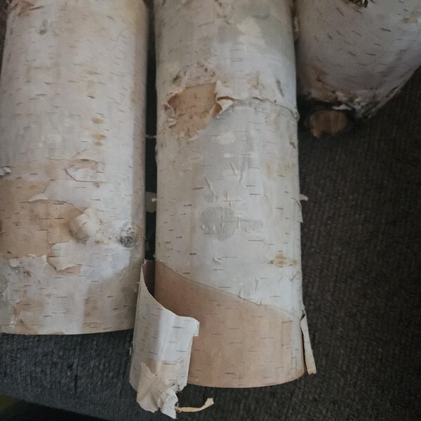 Natural White Birch Logs for Decorating (multiple Quantities and Sizes ...