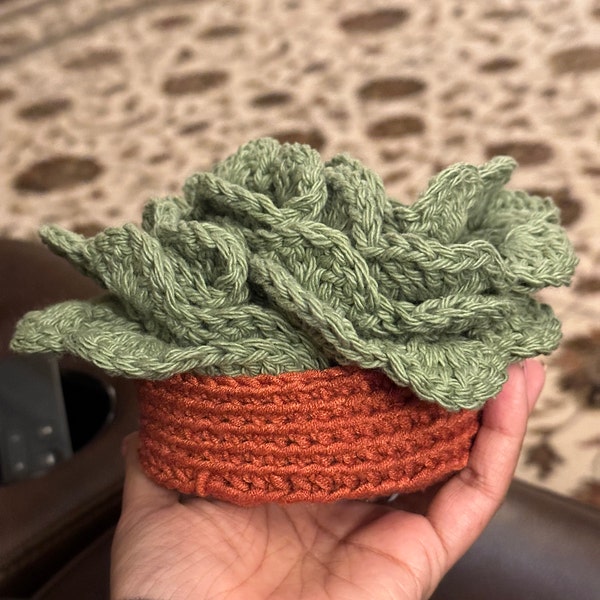 CROCHET PATTERN - Succulent Plant Pot Coaster Crochet Pattern Flower ...