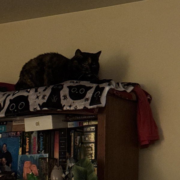 Custom Axolotl Beach Towel, Axolotl Beach Towel, Customized Beach Towel ...