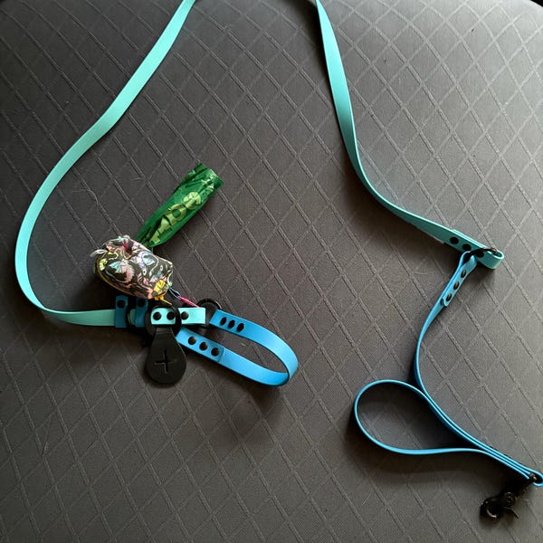 Funny Sayings Tag, Lightweight Tag, Funny Tag, Fun Dog Tag, Aluminum ...