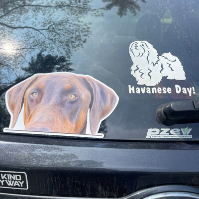 Rottie Mom Car Decal Sticker / Realistic Peeking Rottweiler - Etsy