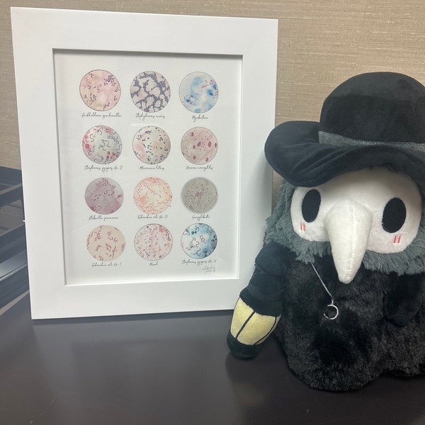 Microbe Collection, Bacteria, Bacteria Art, Science, Science Art ...