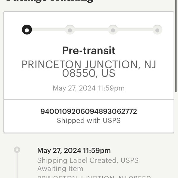 Disney Rocker Princess Shirt, Disney Punk Princess Shirt, Tattoo Disney ...