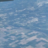 Clearance 20 Ixia Blue Bird Flower Bulbs From Easy to Grow - Etsy