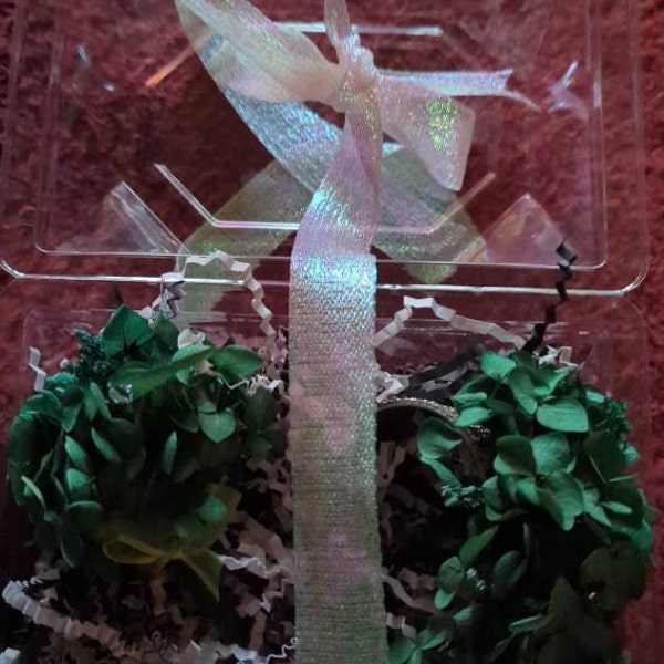 Fluttering Bee Bloom: 3D Bee Pop-up Greeting Card Ideal for Any ...