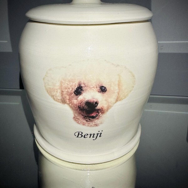 Springer Spaniel Bowl - Etsy