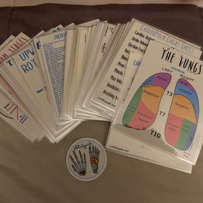 Neurological Exam Cheat Sheet for PT Students Myotomes, Cranial Nerves ...