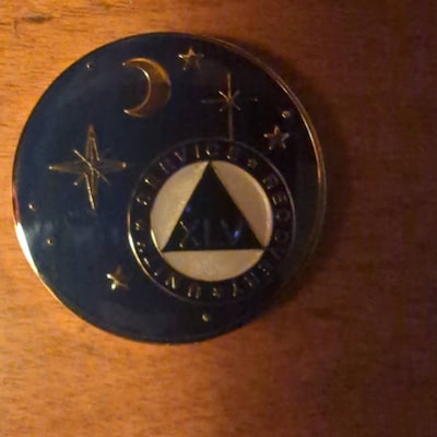 NA Tree of Life Anniversary Recovery Coin Medallion Narcotics Anonymous ...