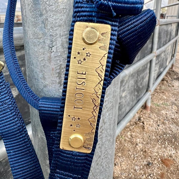 Custom Horse Halter Name Plate - Brass Halter Name Tag - Custom ...