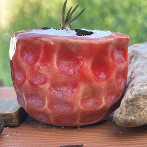 Tiny Sea Monster Sculpture MADE TO ORDER Fish Tank Decorations Aquarium ...