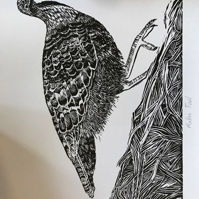 Wombat Linocut Print / Australian Animal / Black and White / - Etsy ...